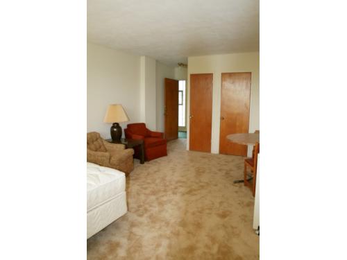 The Lyons Pictures - LiveSomeWhere