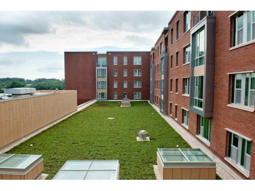 Wolf Ridge NCSU Housing Pictures - LiveSomeWhere