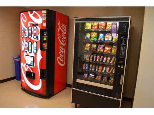 Wolf Ridge NCSU Housing Pictures - LiveSomeWhere