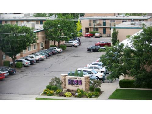 Cinnamon Tree Apartments Pictures - LiveSomeWhere